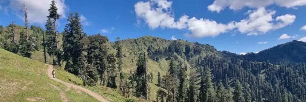 A Guide to Bhal Padri Trekking Trail | KashmirHills.com